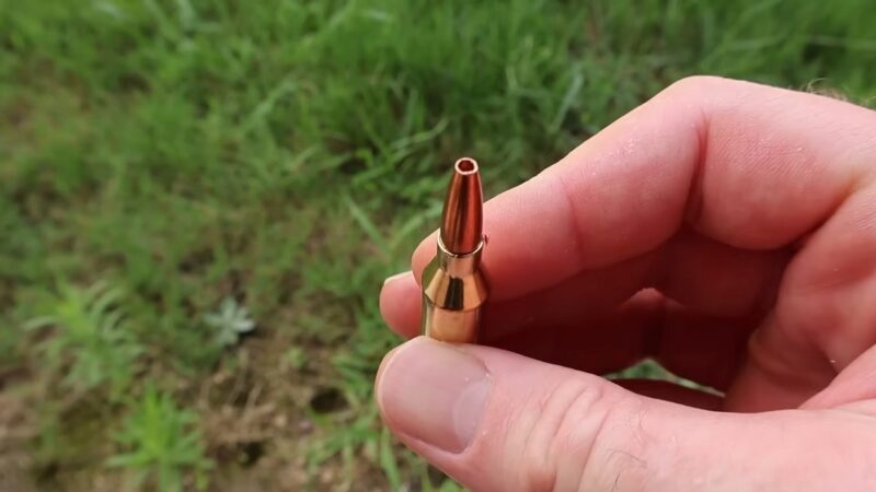 The Ultimate Guide to Deer Hunting Calibers - Setters Point