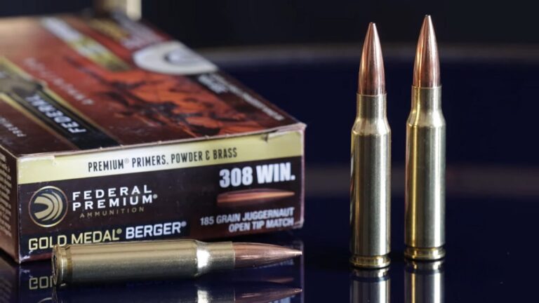 The Ultimate Guide to Deer Hunting Calibers - Setters Point
