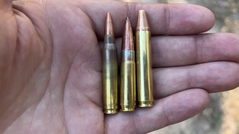 The Ultimate Guide to Deer Hunting Calibers - Setters Point