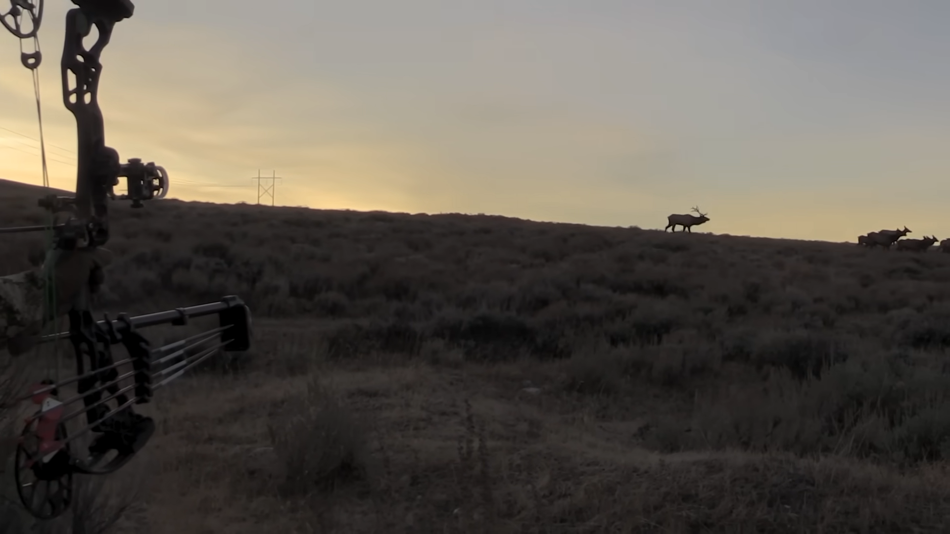2025 Guide to Choosing the Right Bow for Big Game Hunting - Setters Point