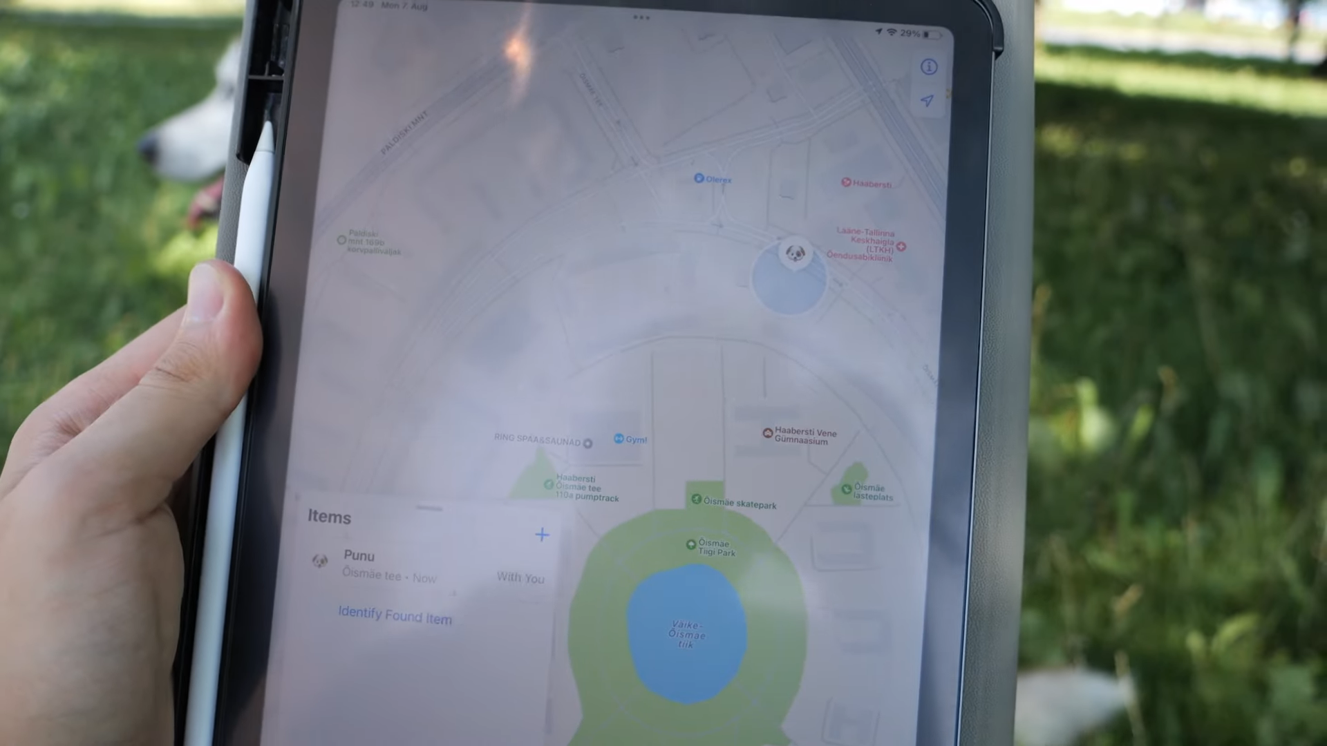 How to Read GPS Tracking Data to Improve Your Dog’s Field Performance ...